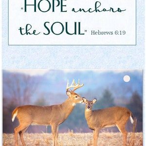 JW Get Well Greeting Card - Etsy