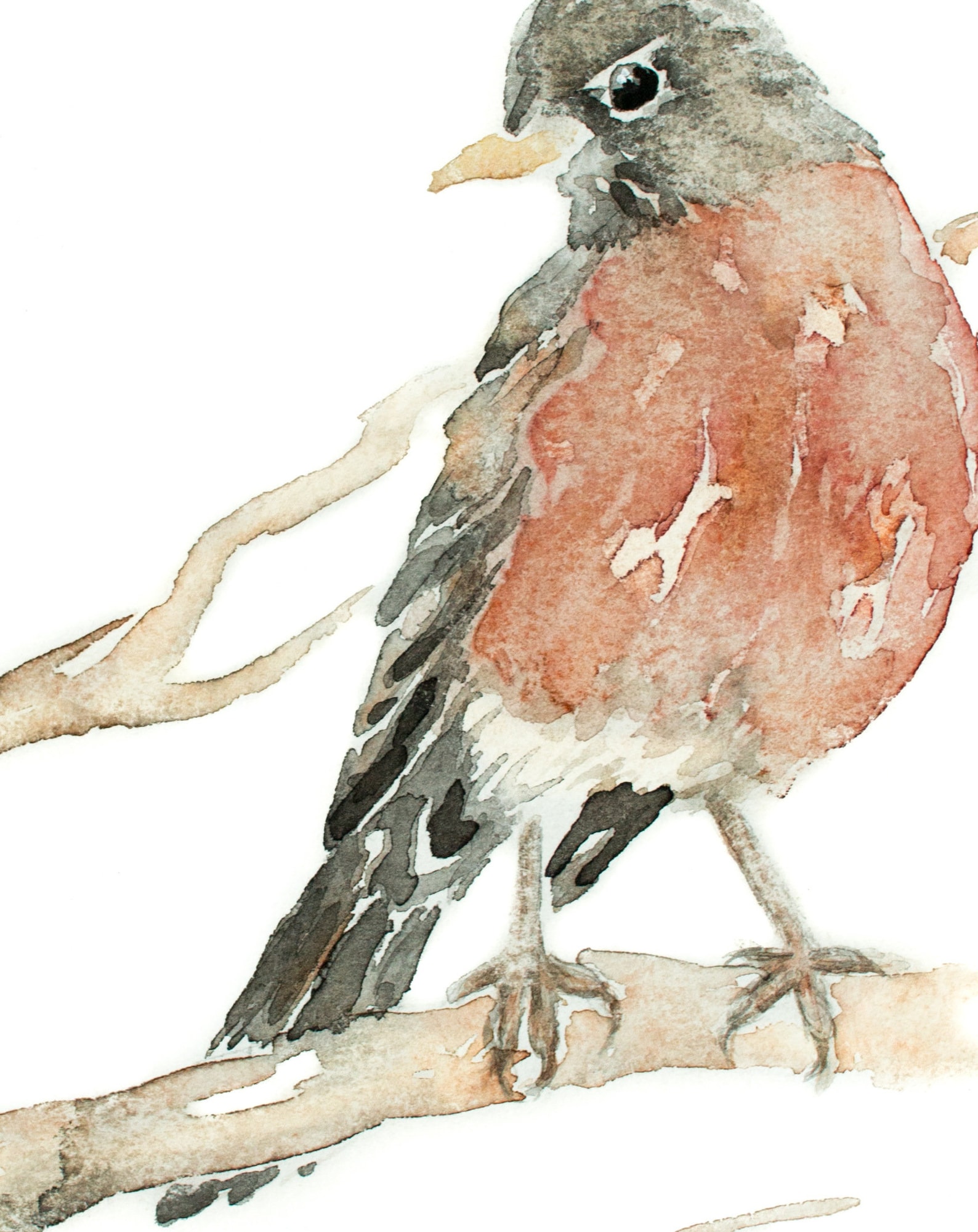 3 Robin Watercolor Paintings INSTANT PRINTABLE DIGITAL | Etsy