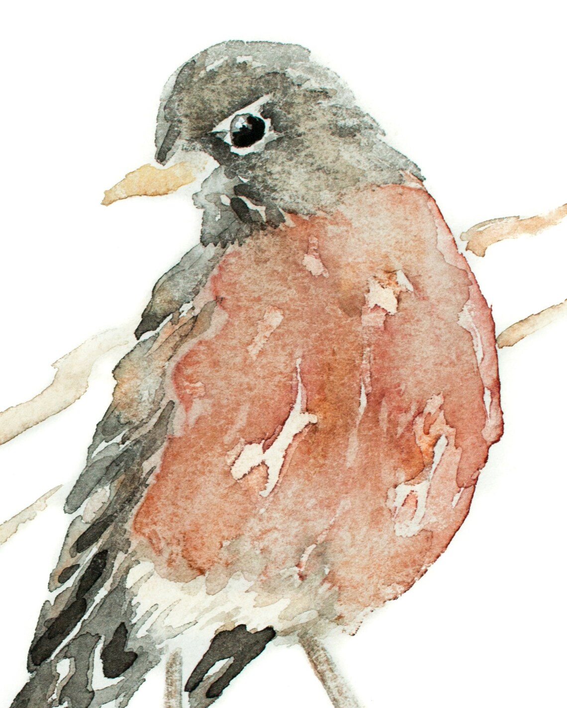 Robin Print PRINTABLE DIGITAL DOWNLOAD of Original Bird | Etsy