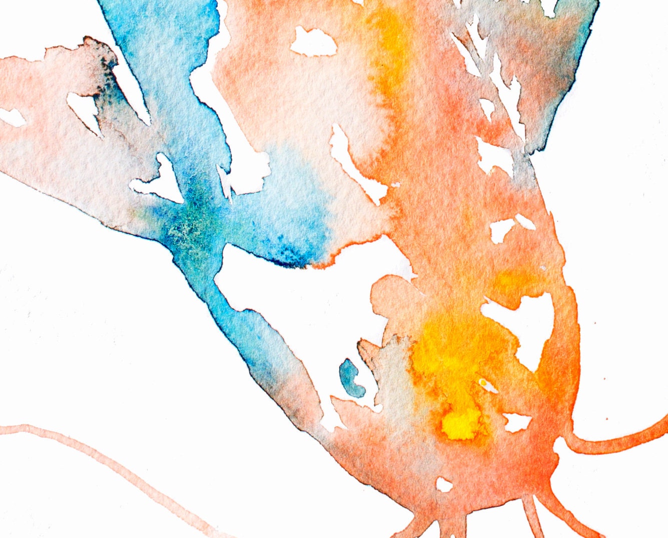Catfish Watercolor Painting PRINTABLE DIGITAL DOWNLOAD | Etsy