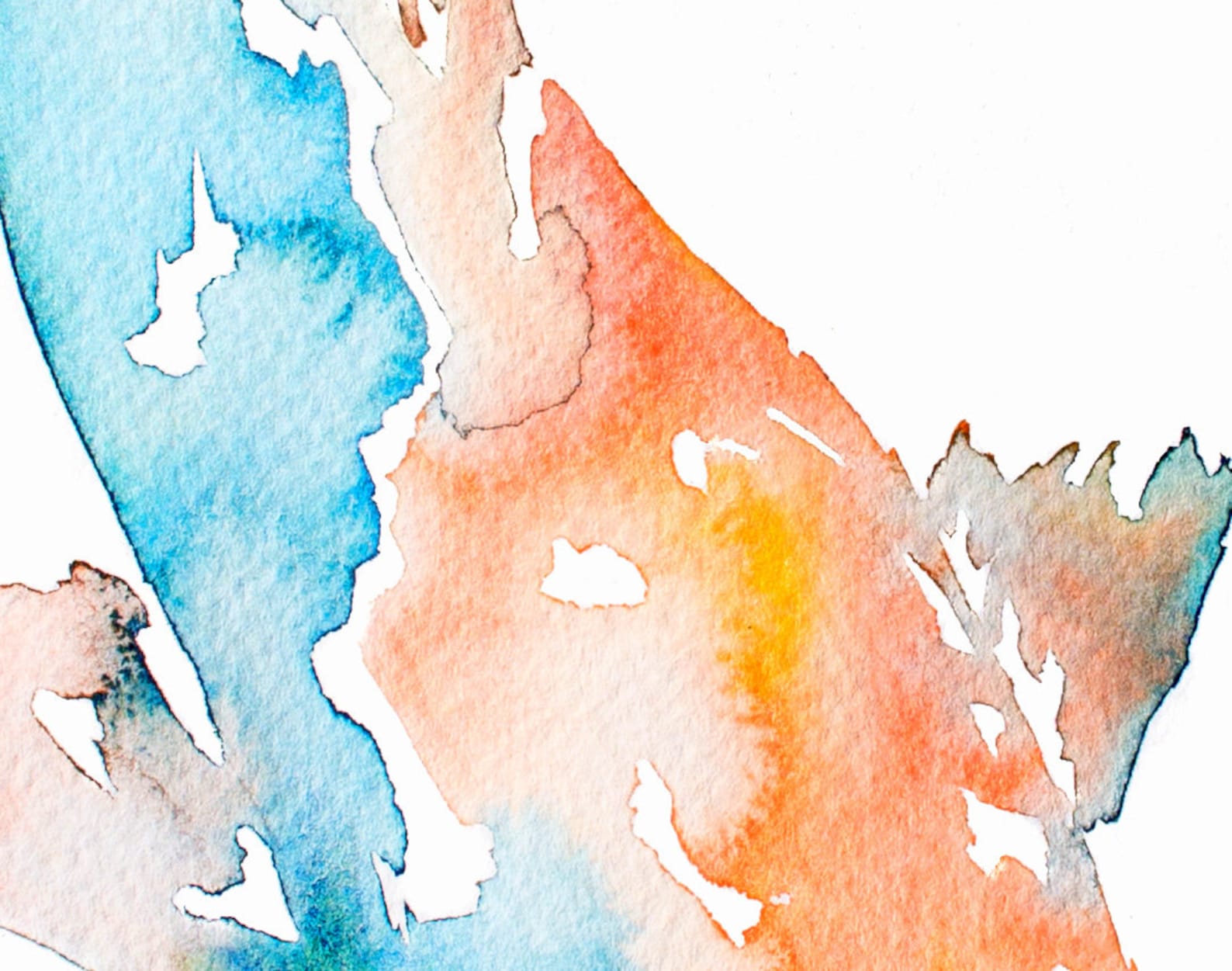 Catfish Watercolor Painting PRINTABLE DIGITAL DOWNLOAD | Etsy