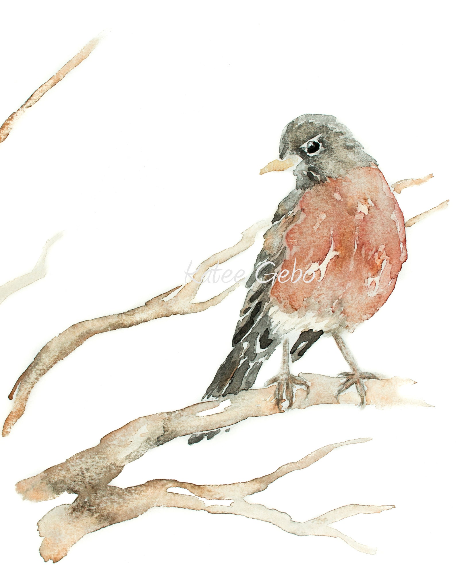 Robin Print PRINTABLE DIGITAL DOWNLOAD of Original Bird - Etsy