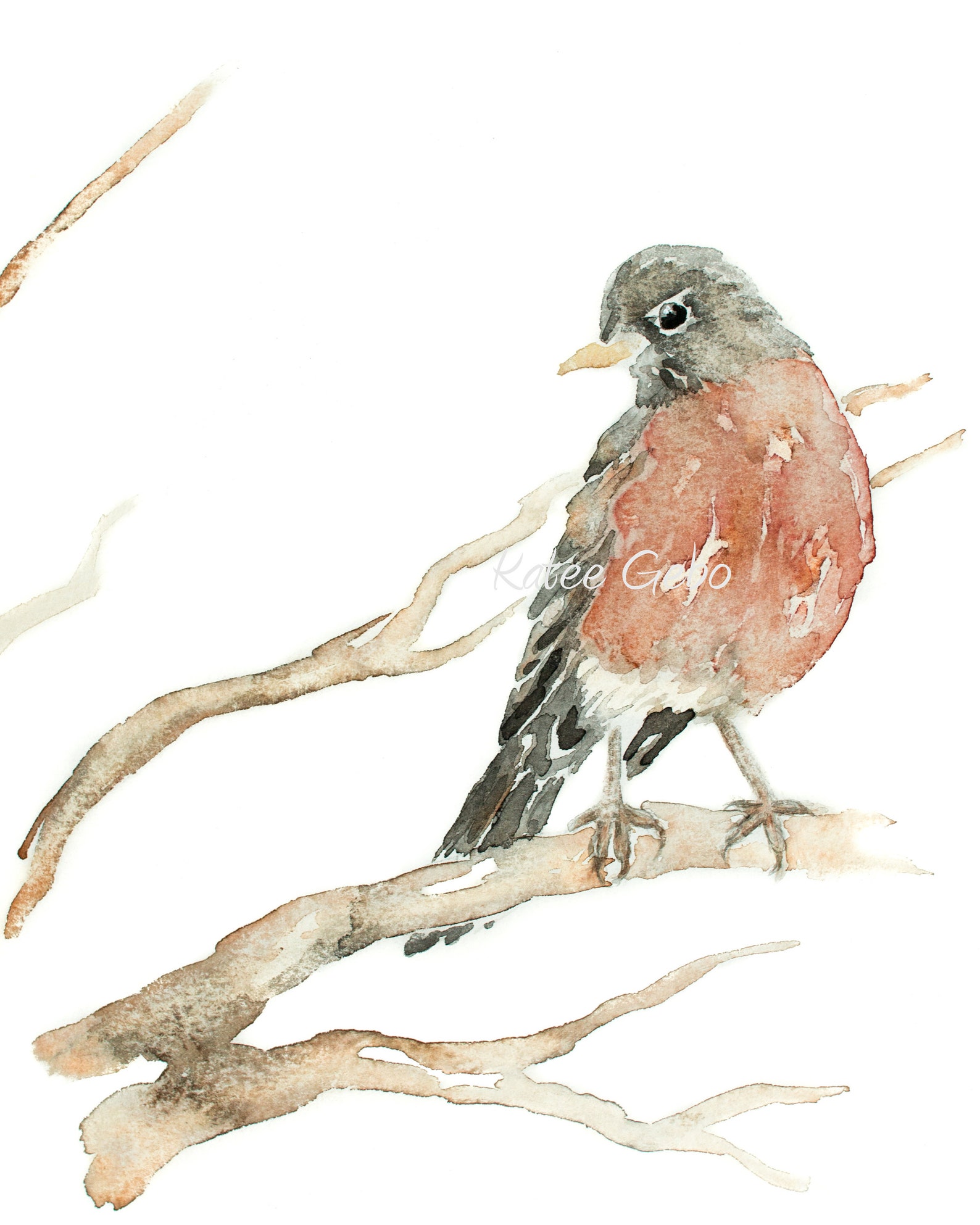 3 Robin Watercolor Paintings INSTANT PRINTABLE DIGITAL | Etsy