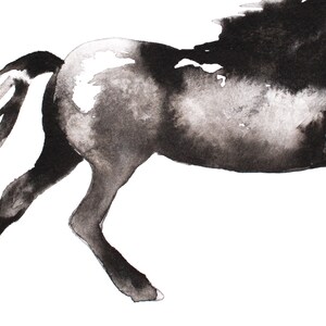 Horse Prints Set of Two INSTANT PRINTABLE DIGITAL Download Set of 2 ...