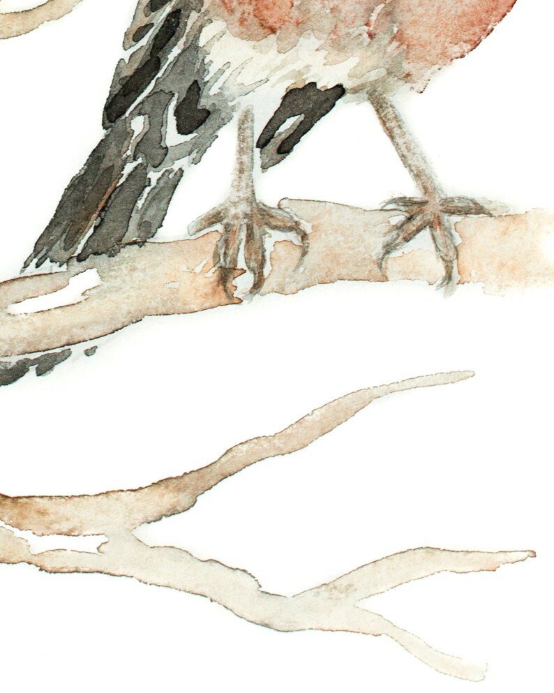 Robin Print PRINTABLE DIGITAL DOWNLOAD of Original Bird | Etsy