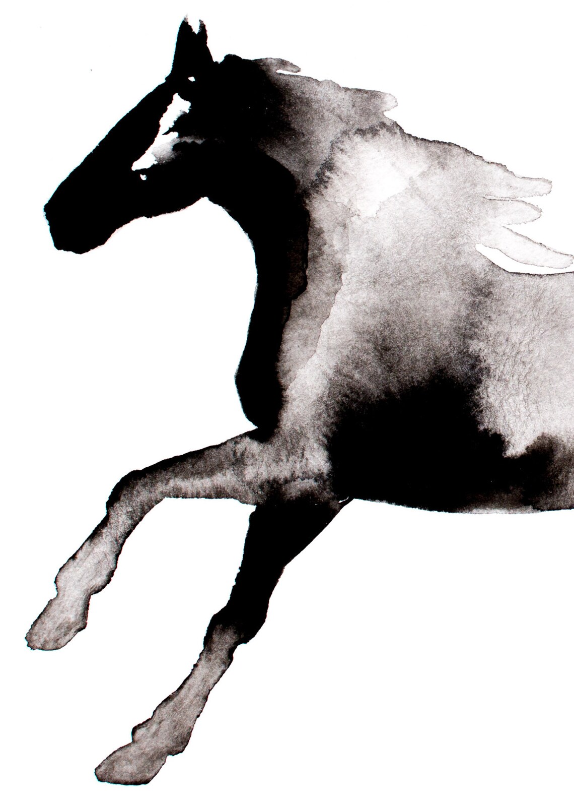 Horse Prints Set of Two INSTANT PRINTABLE DIGITAL Download Set - Etsy