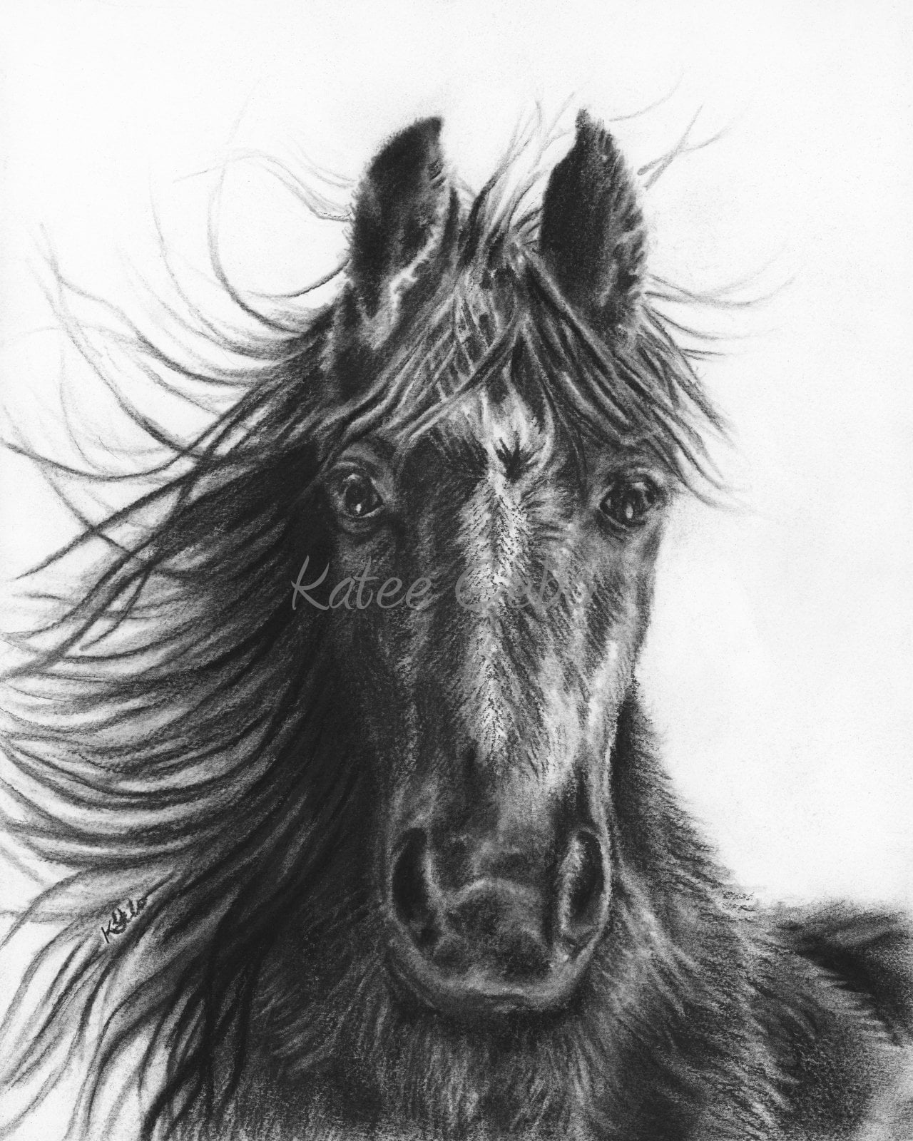 Charcoal Sketches Of Horses