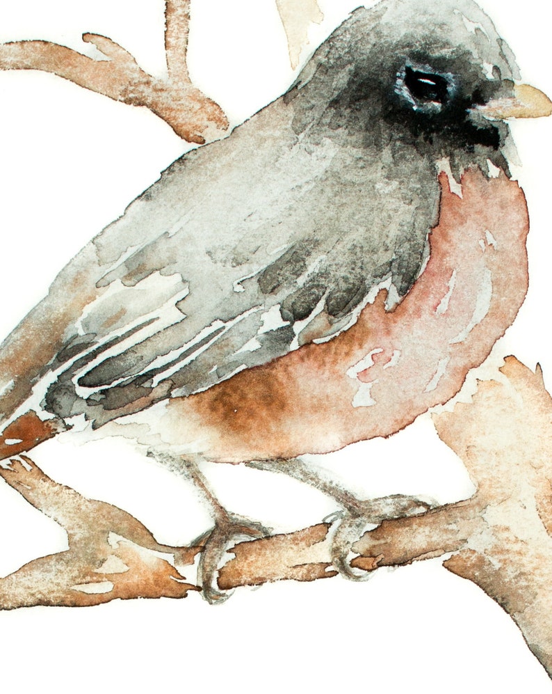 Robin Print PRINTABLE DIGITAL DOWNLOAD Print of Original | Etsy