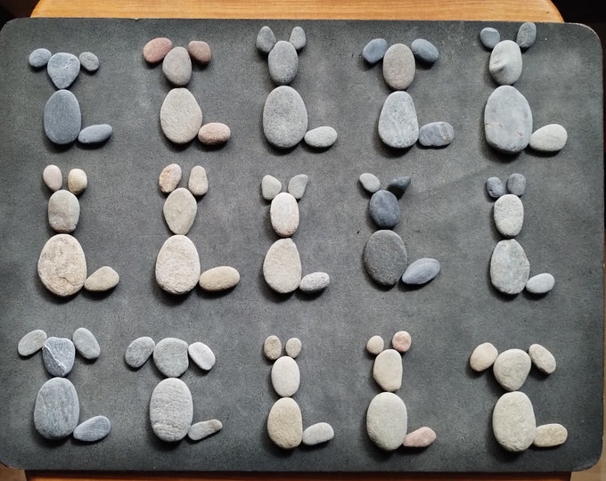 Pebbles Stones Pebbles Pebble Sets Pets Dog Four-legged Friends German ...