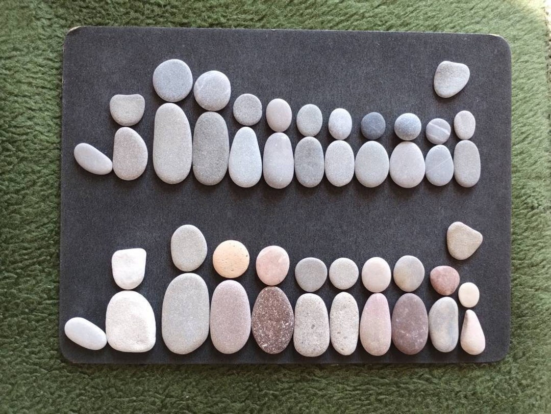 Pebbles Stones Pebbles Pebble Sets People Pets Cat Dog Couple Family ...