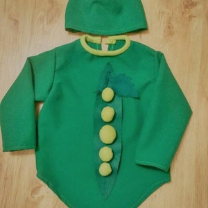 Carnival Costumes Vegetables Cabbage Pea Beetroot Carrot Radish Tomato ...