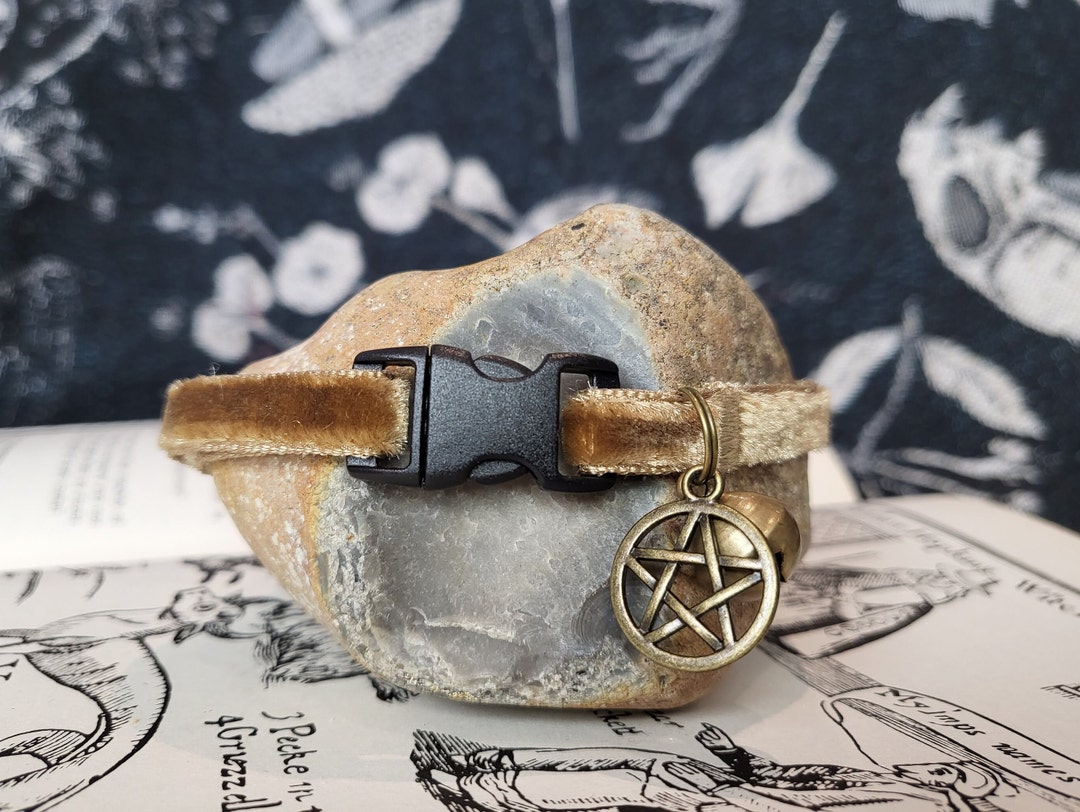 Witch Cat Collar, Pentagram Charm Cat Collar, Gold Velvet Cat Collar ...