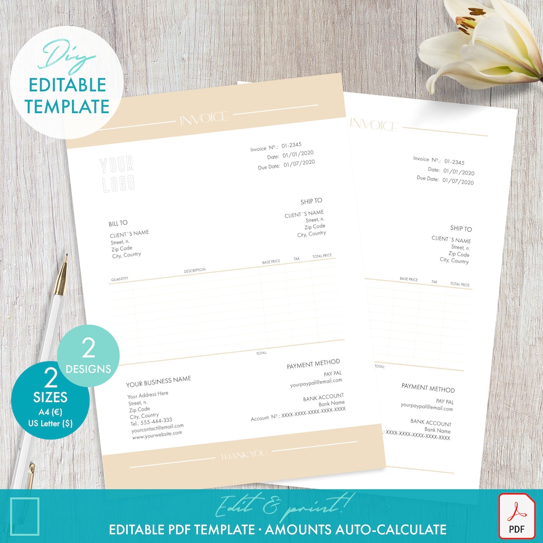 Editable Professional Invoice PDF Template (2 Colors + 2 Designs ...