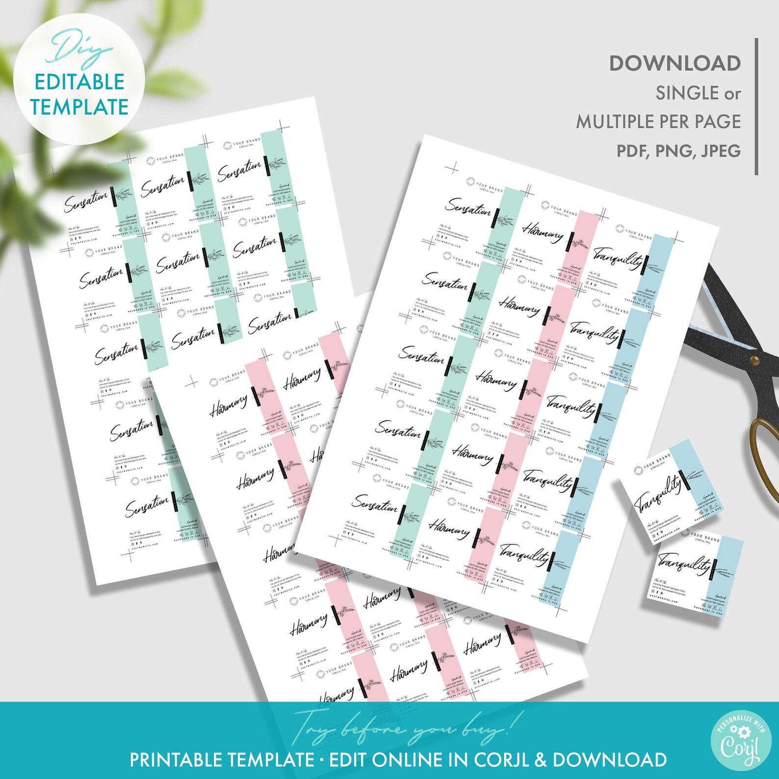 Editable Roller Bottle Label Template Printable 10 Ml - Etsy