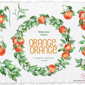 Watercolor Orange Clipart Watercolour Fruit Wreath Hand Painted Orange ...
