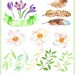 Watercolor SPRING Clipart Set | SPRING Flowers Clipart | Hand Painted ...