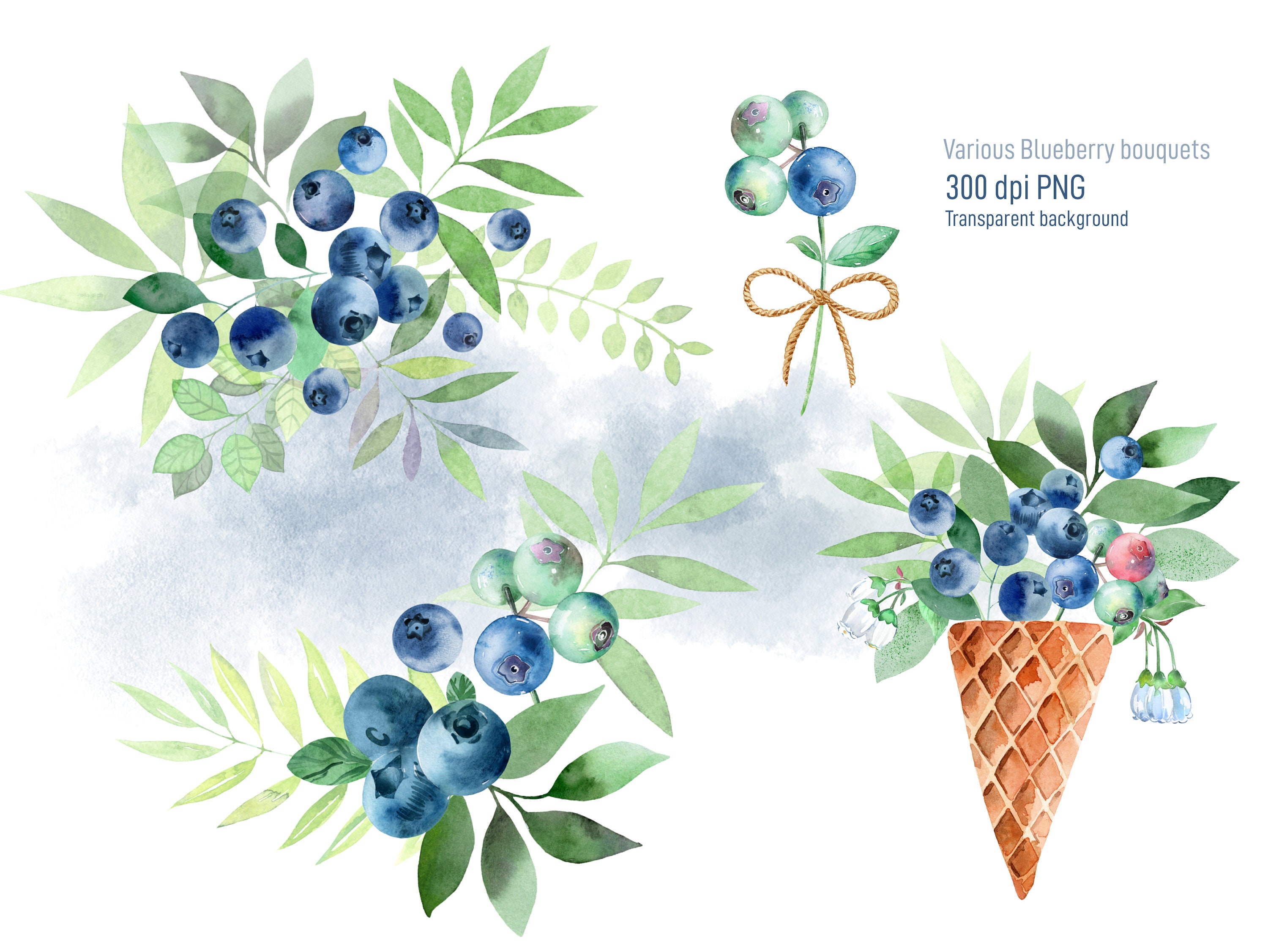 Watercolor Blueberries Set Berries Clipart Watercolour - Etsy