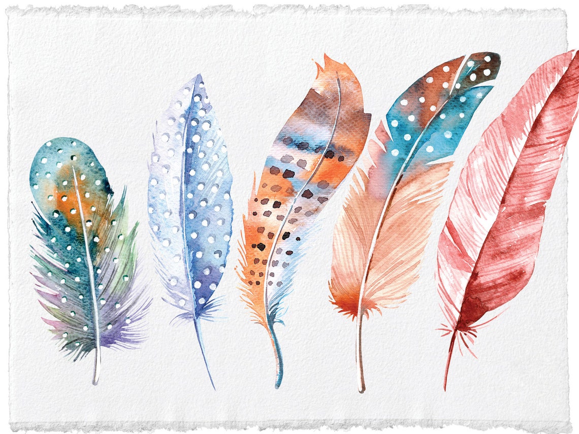 Colourful feathers clipart set Watercolor Clip Art Feathers | Etsy