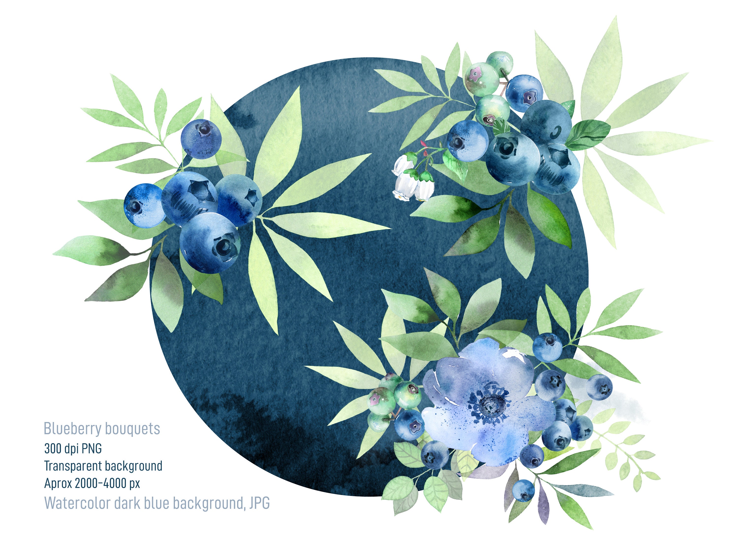 Watercolor Blueberries Set Berries Clipart Watercolour - Etsy