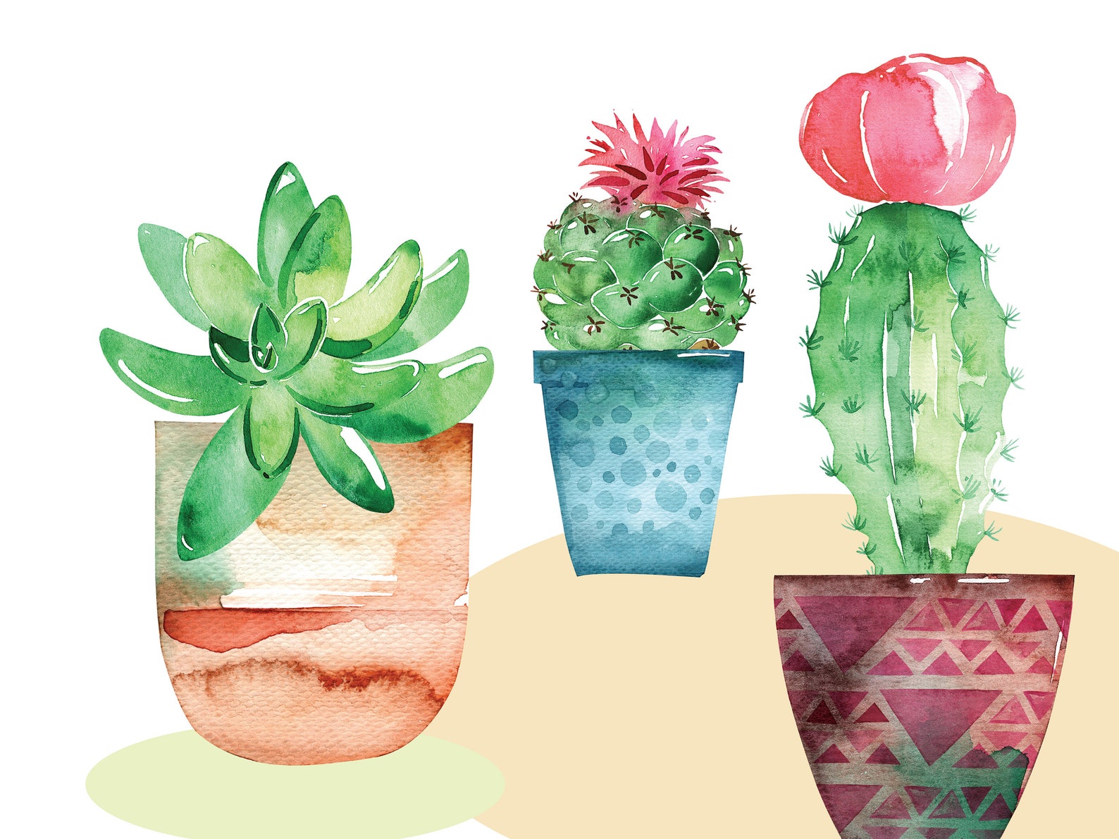 Succulent Cactus With Pots Clipart Set Watercolor Clip Art | Etsy