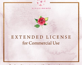 Extended Commercial Use License for 1 Graphic Set - Add on for Digital ...