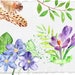 Watercolor SPRING Clipart Set | SPRING Flowers Clipart | Hand Painted ...