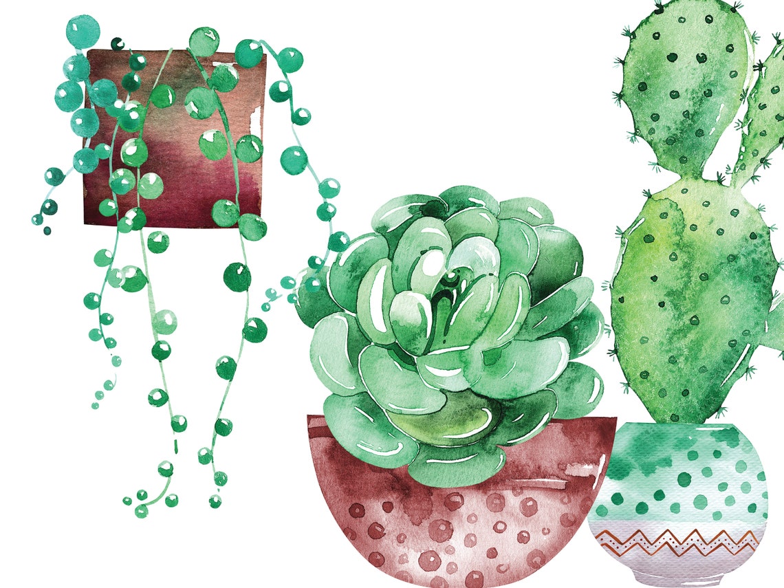 Succulent Cactus With Pots Clipart Set Watercolor Clip Art | Etsy