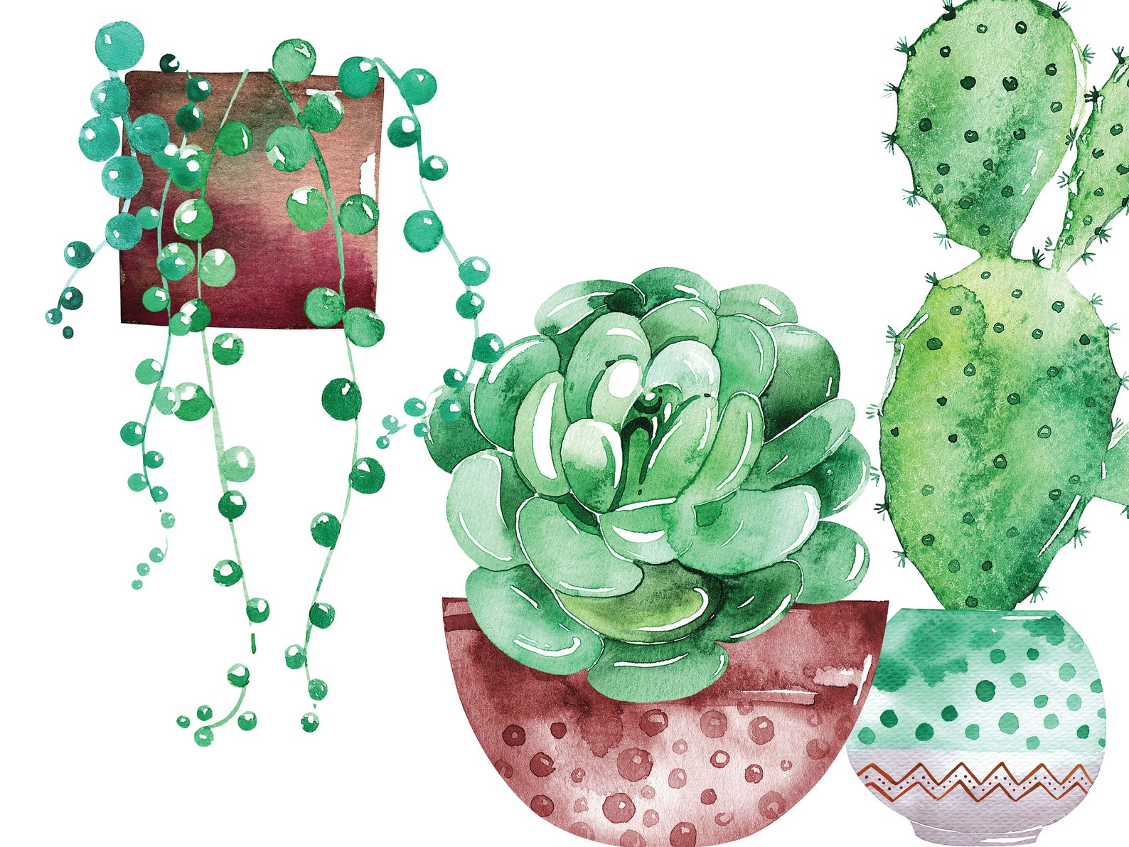Succulent Cactus With Pots Clipart Set Watercolor Clip Art | Etsy