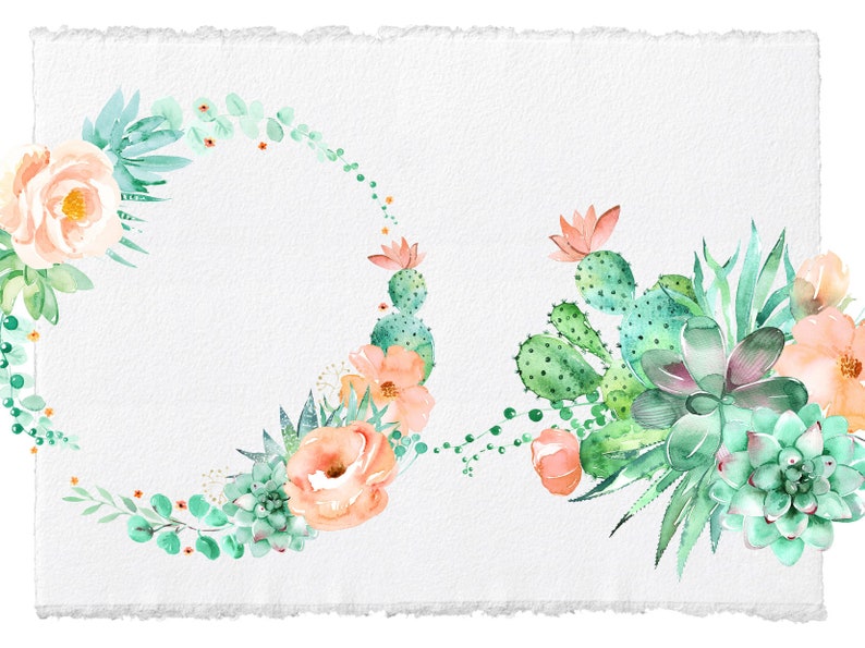 Mint Peach Succulent Clipart Set Watercolor Soft Pink | Etsy