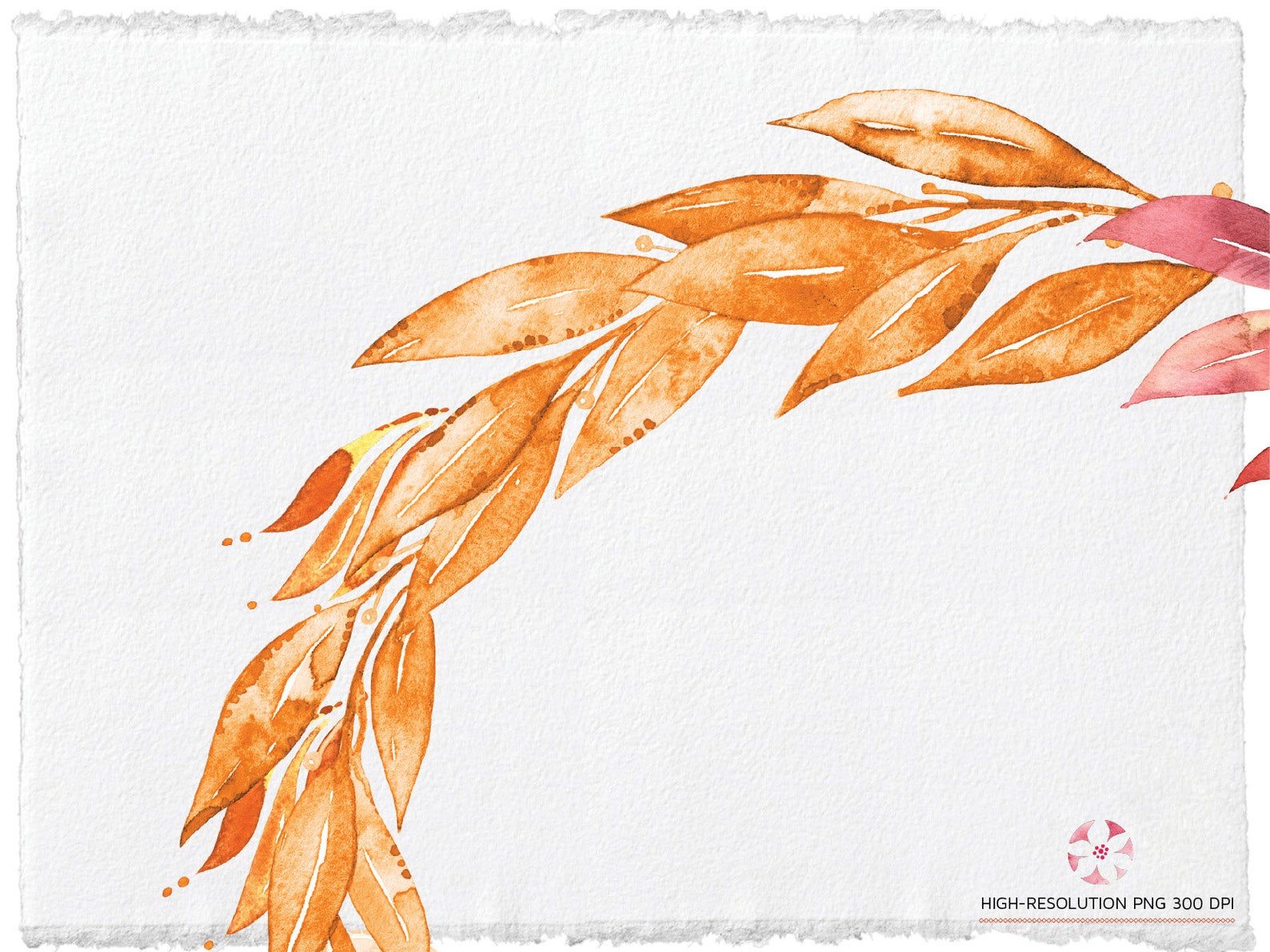 Watercolor Fall Wreath Autumn Leaves Clipart Fall PNG & - Etsy