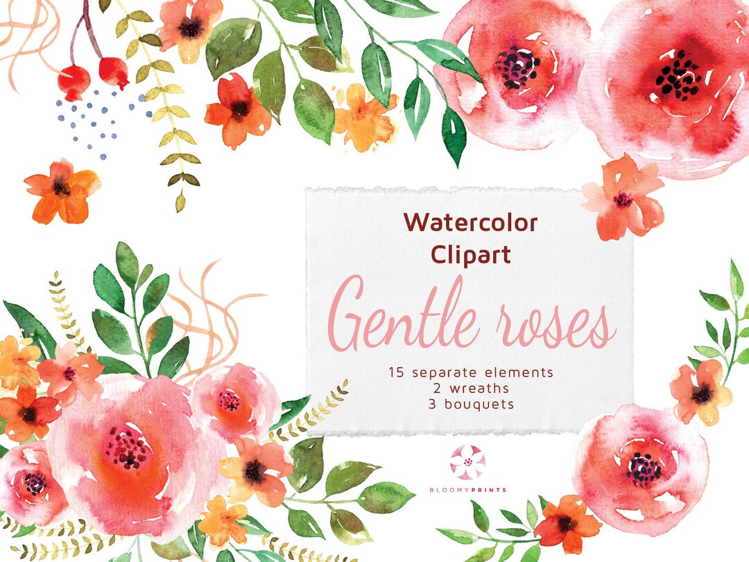 Watercolor Gentle Roses | Watercolour Flowers Clip Art Pack | Hand ...