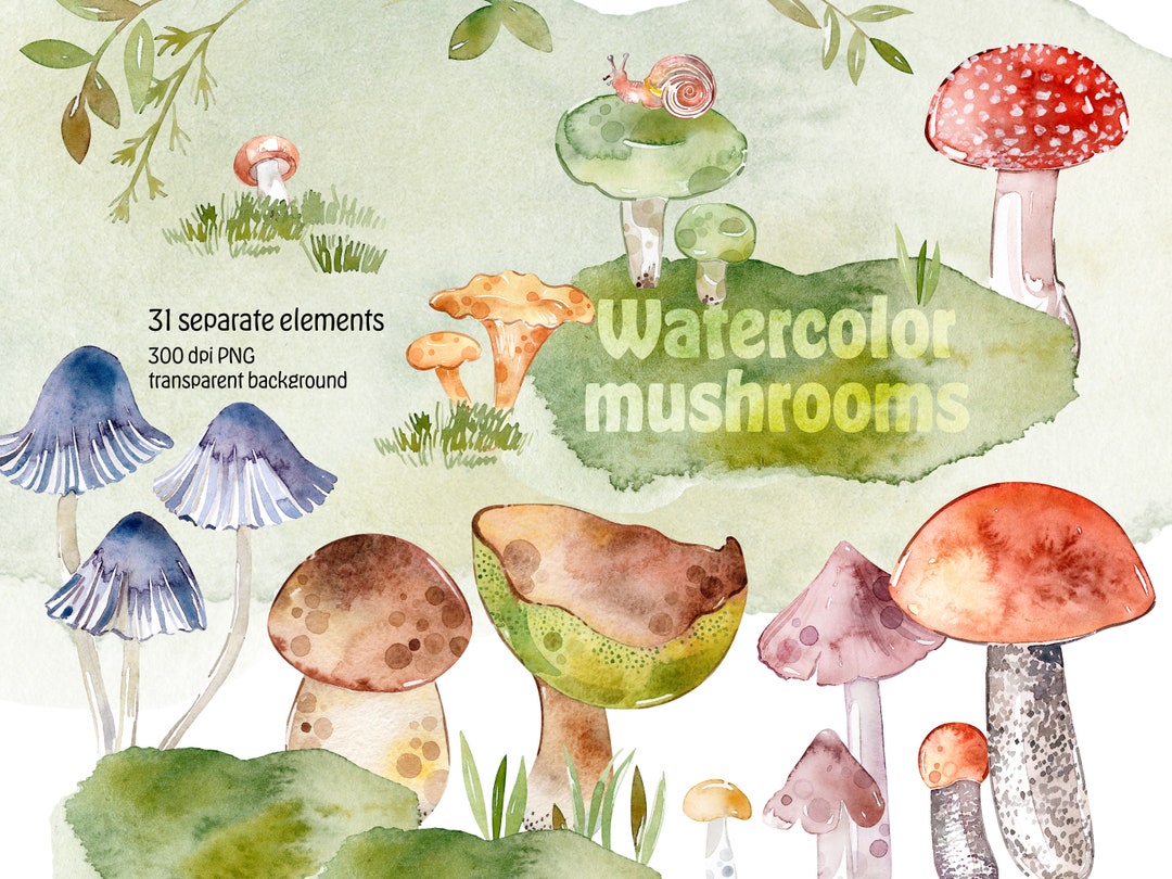 Watercolor Mushrooms, Forest Harvest Clipart, Autumn, Halloween ...