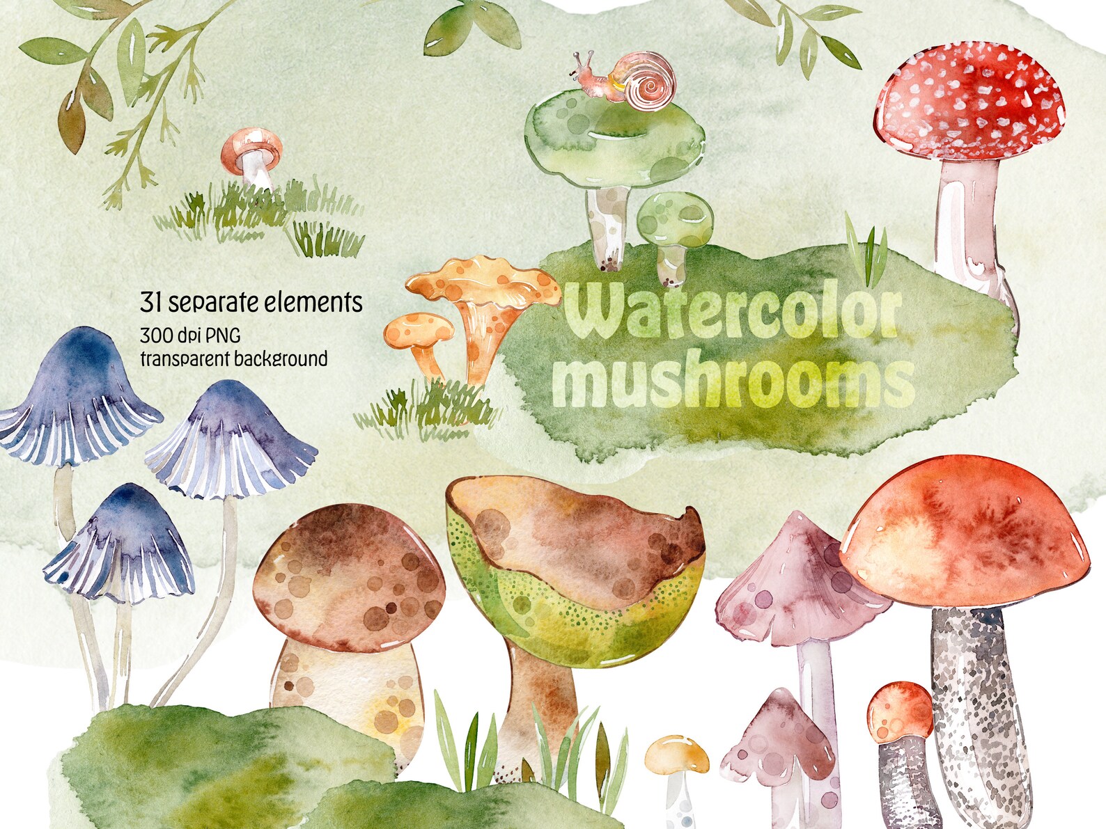 Watercolor Mushrooms Forest Harvest Clipart Autumn - Etsy