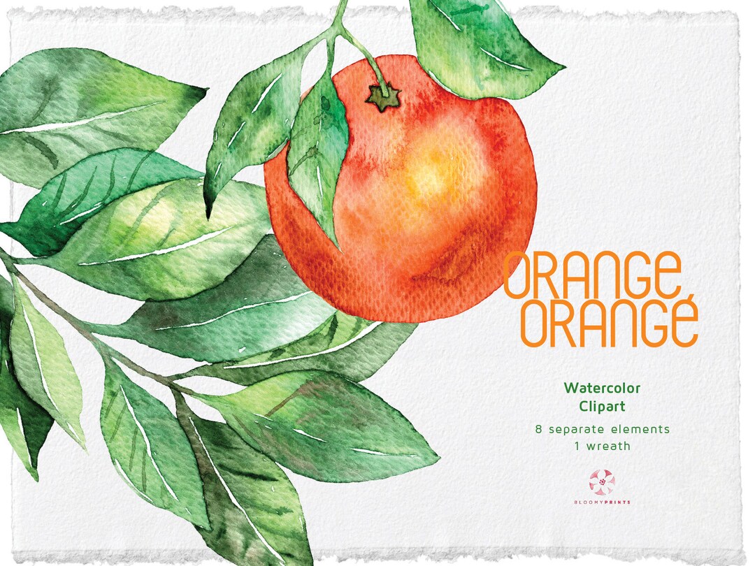 Watercolor Orange Clipart Watercolour Fruit Wreath Hand Painted Orange ...