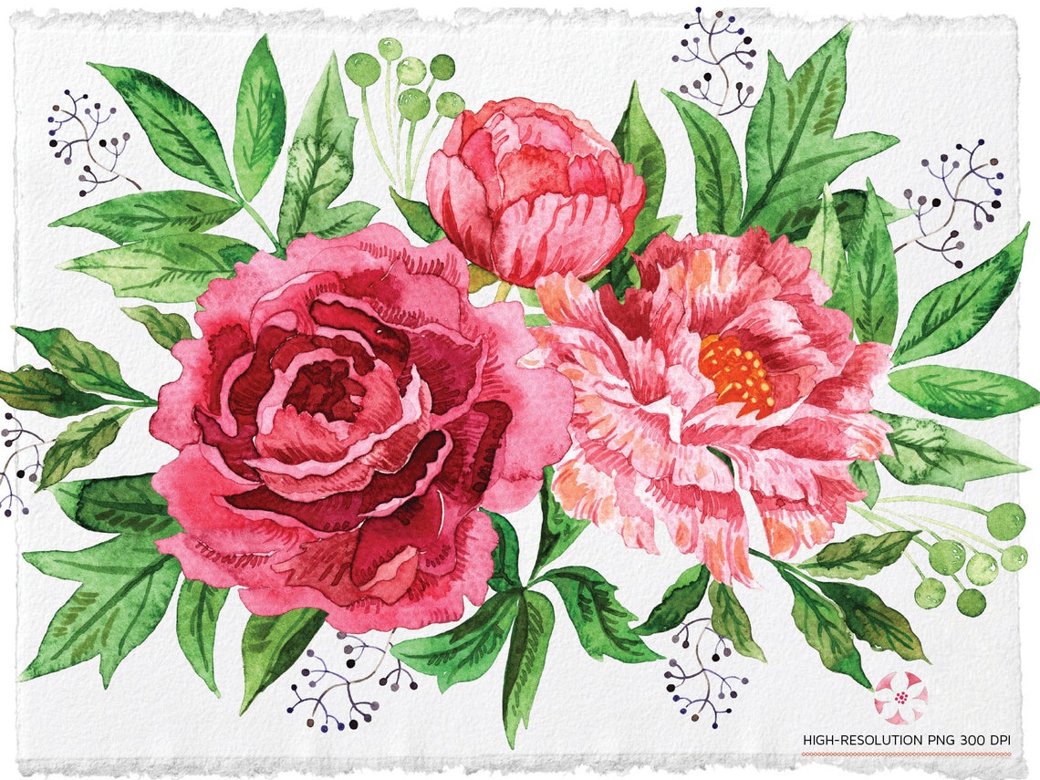 Watercolor Peonies Clipart Watercolour Flowers Clip Art Set | Etsy
