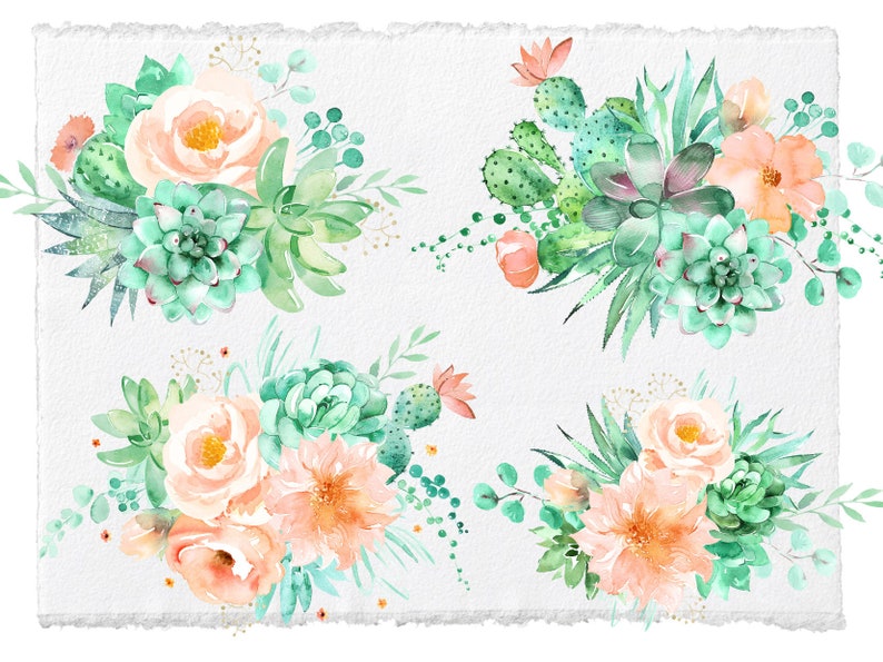 Mint Peach Succulent Clipart Set Watercolor Soft Pink - Etsy