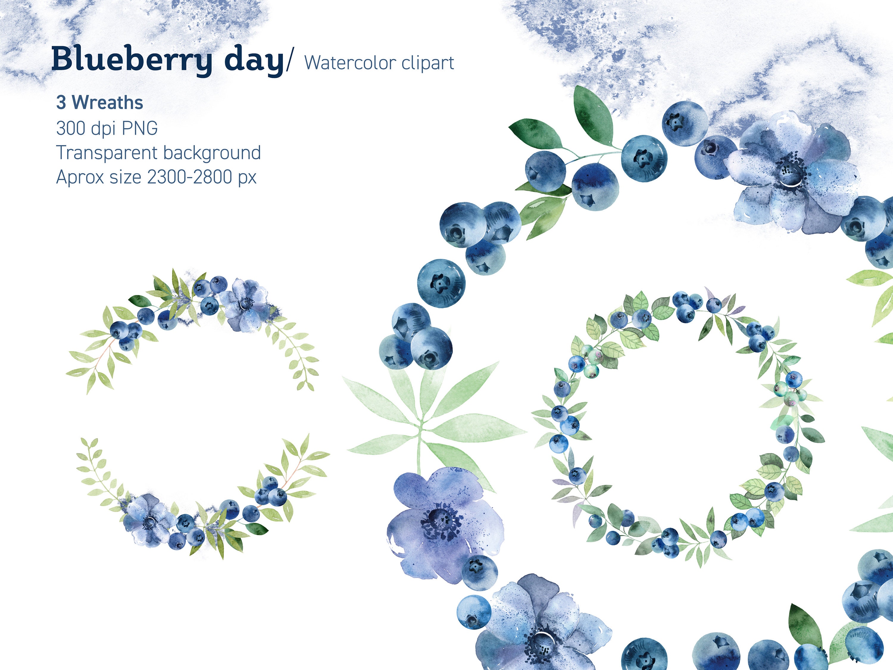 Watercolour Blueberries Frames Arrangements Wreaths - Etsy Canada