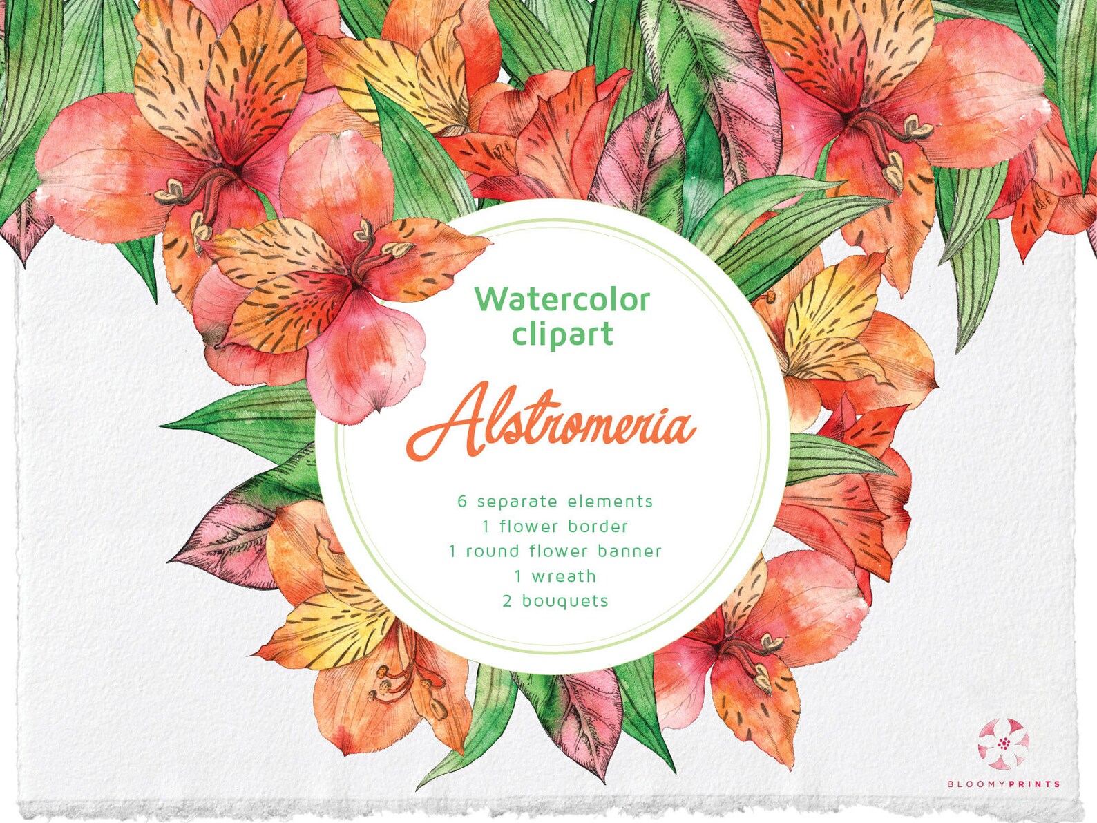 Watercolor Orange Flowers Clipart Set | Watercolour Alstroemeria | Hand ...