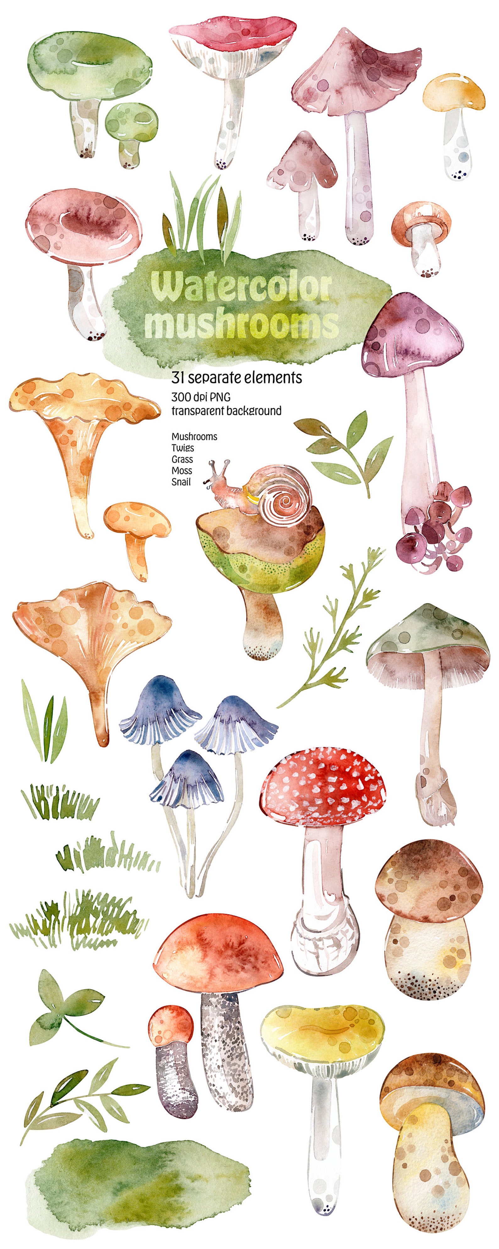 Watercolor Mushrooms Forest Harvest Clipart Autumn - Etsy