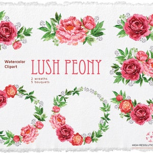Watercolor Peonies Clipart Set | Watercolour Flowers Bouquet | Wreath ...
