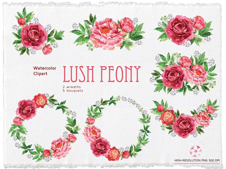 Watercolor Peonies Clipart Set | Watercolour Flowers Bouquet | Wreath ...