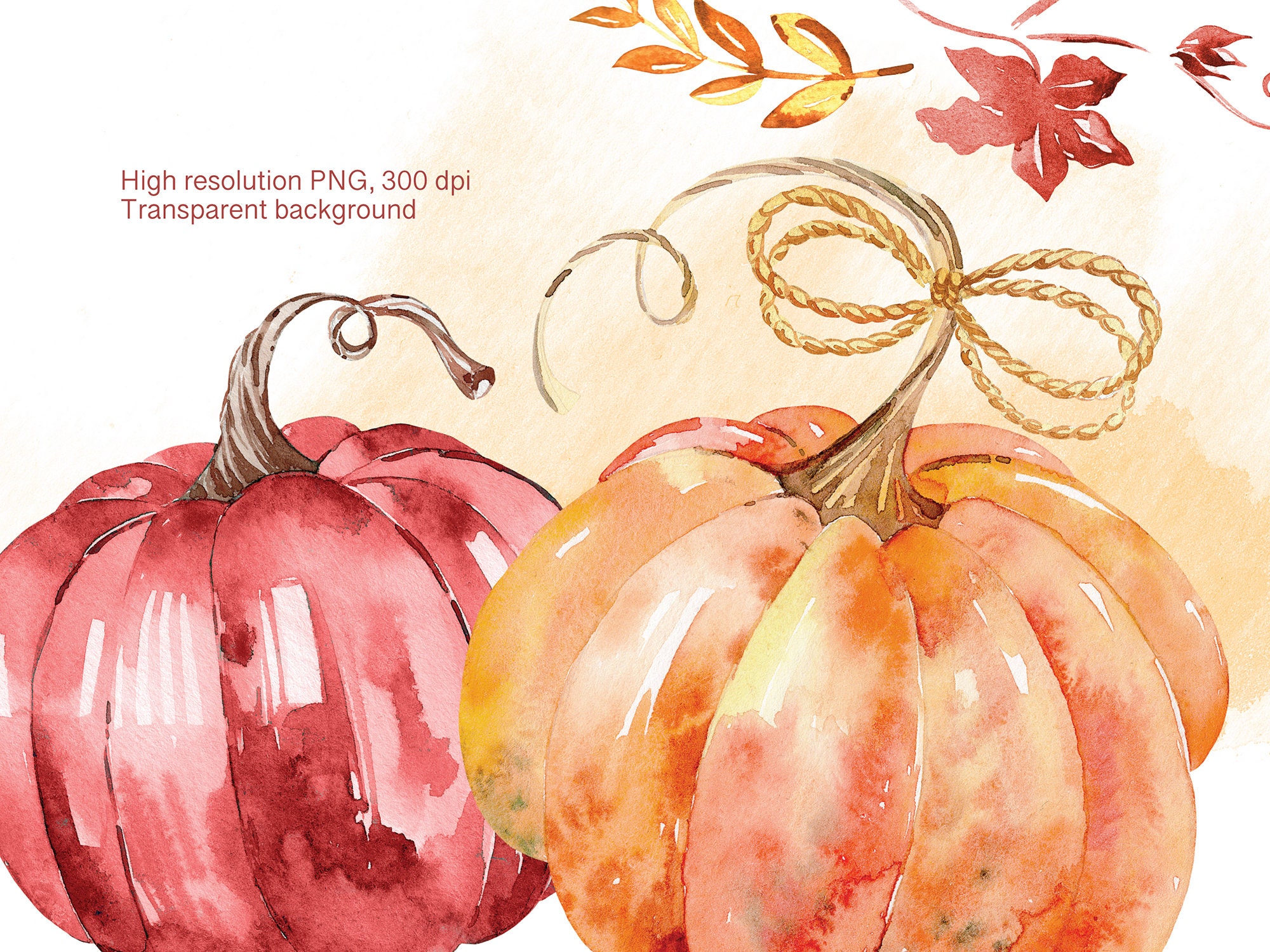 Watercolor Pumpkin Clipart Set Autumn Clip Art Hand - Etsy