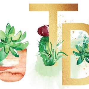 Decorated Letters With Cactus and Succulent | Watercolor Clipart ...