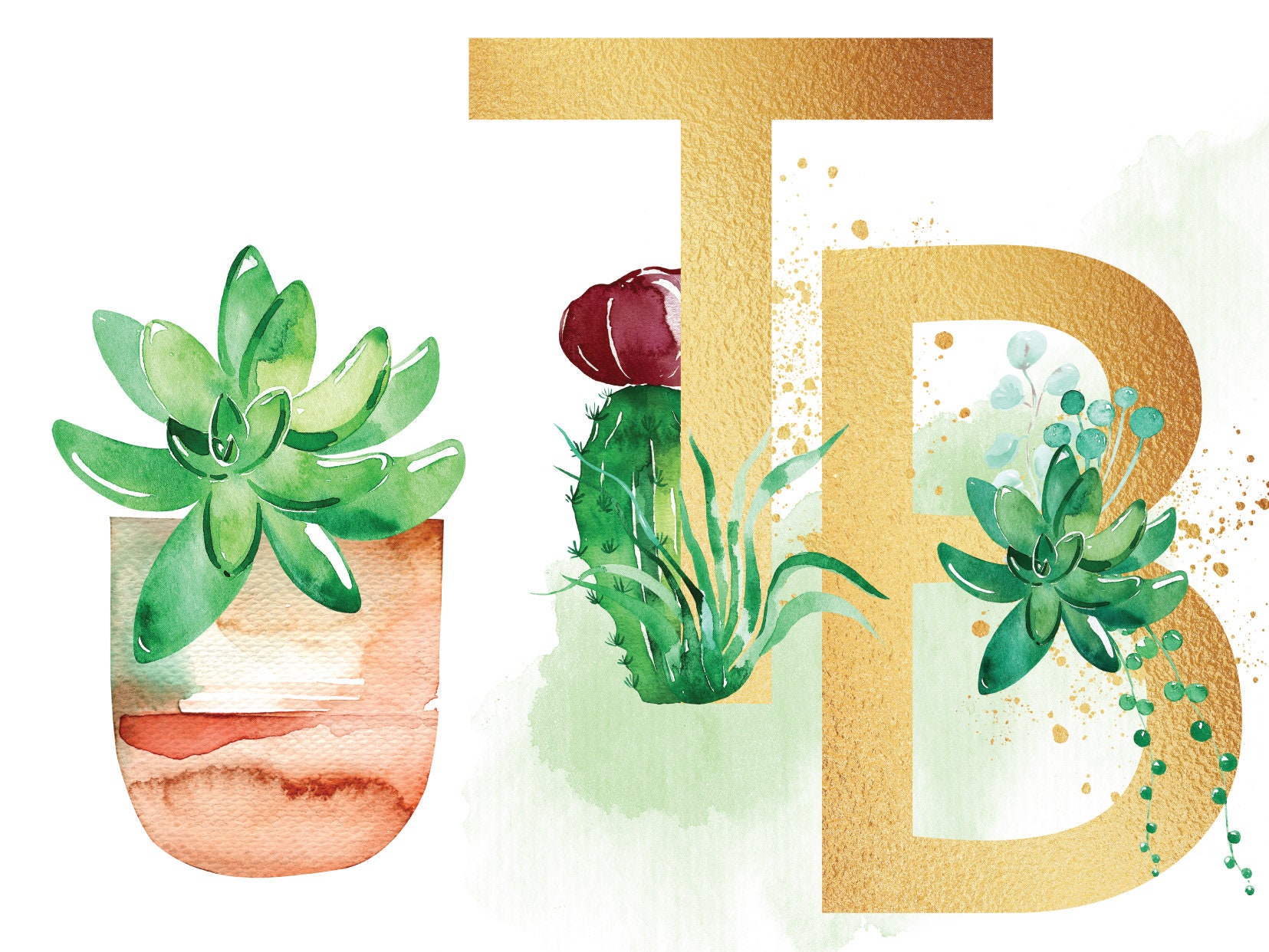 Decorated Letters With Cactus and Succulent Watercolor - Etsy