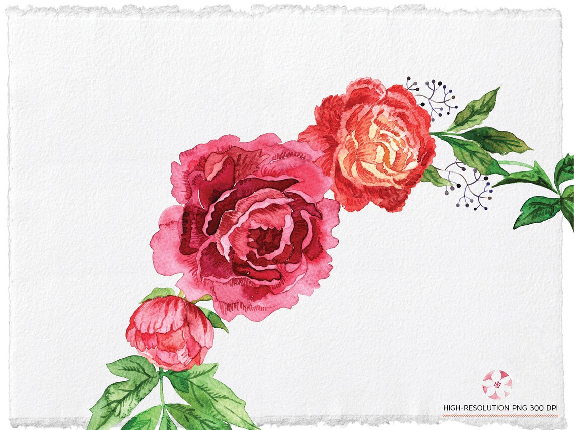 Watercolor Peonies Clipart Set Watercolour Flowers Bouquet | Etsy