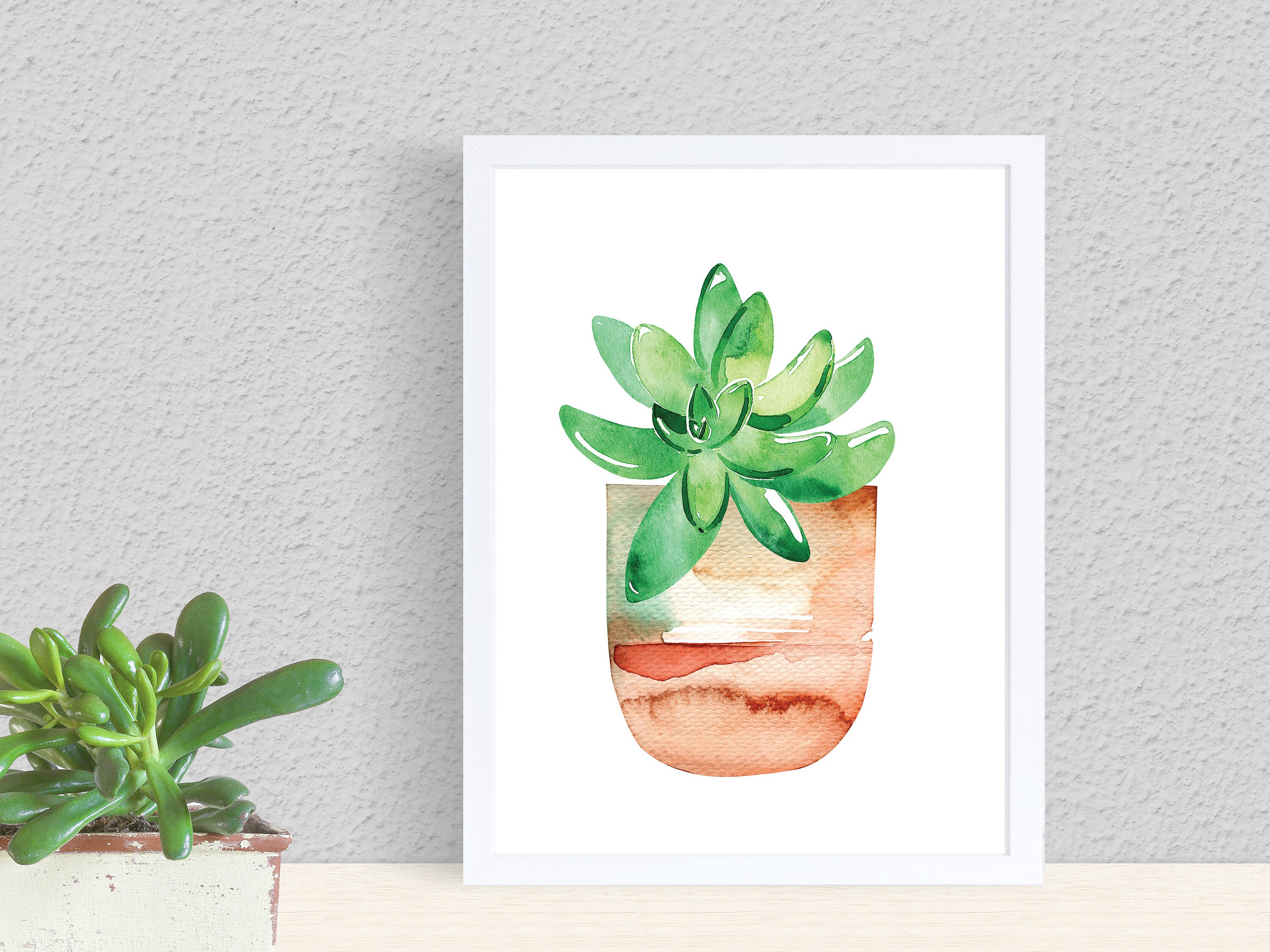 Succulent Cactus With Pots Clipart Set Watercolor Clip Art | Etsy