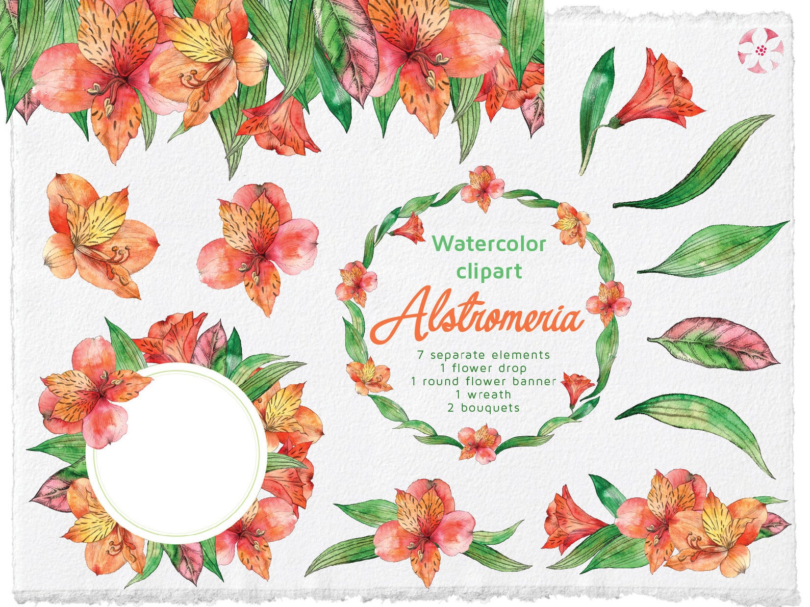 Watercolor Orange Flowers Clipart Set Watercolour - Etsy