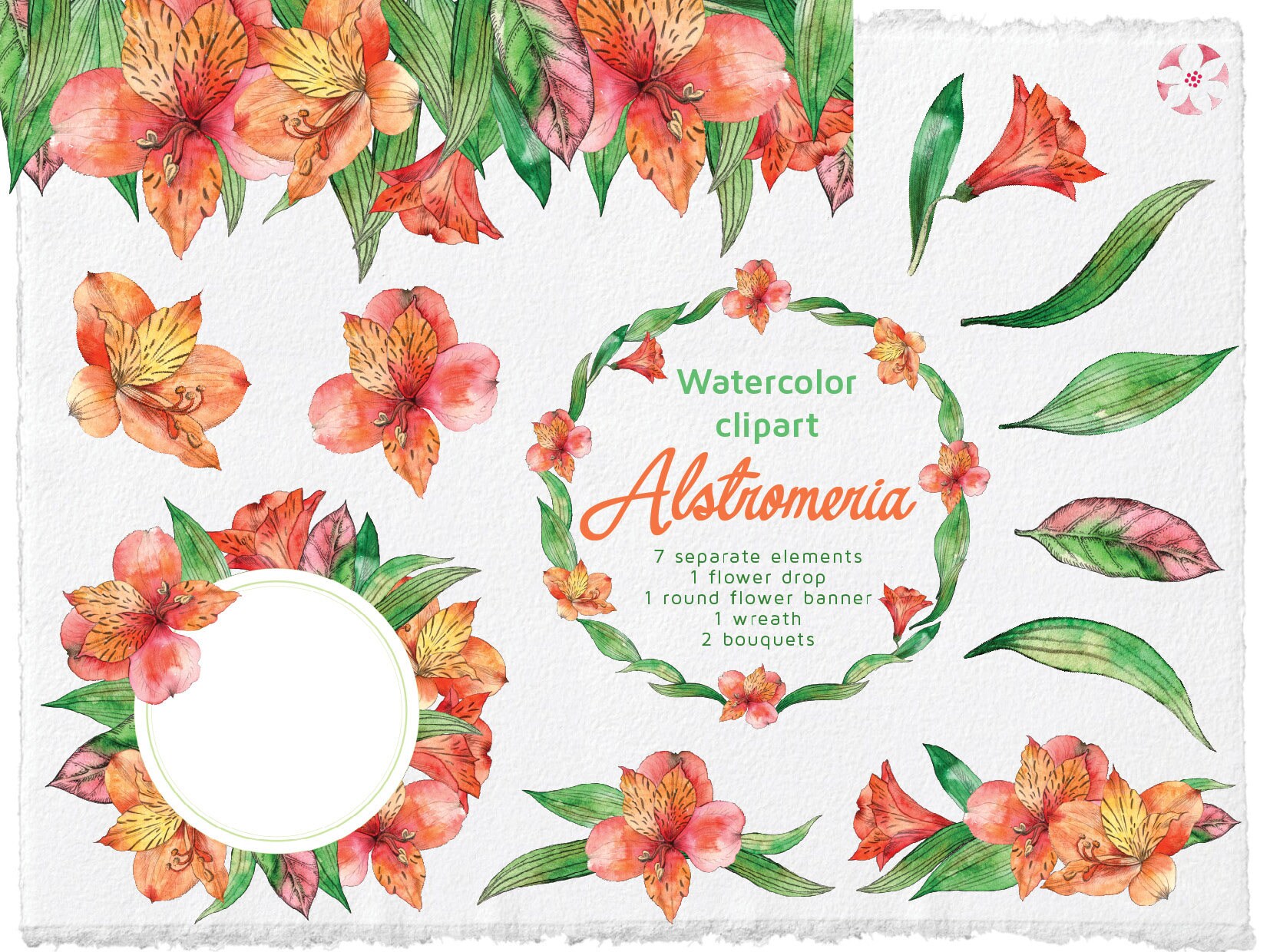 Watercolor Orange Flowers Clipart Set | Watercolour Alstroemeria | Hand ...