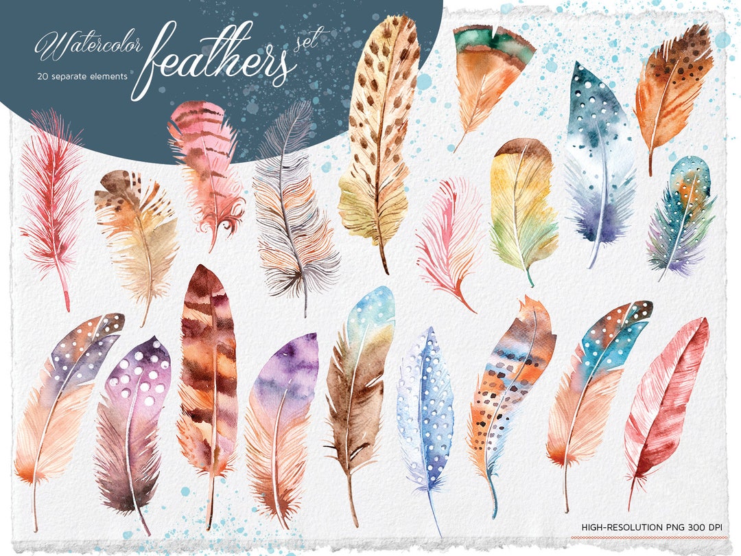 Colourful Feathers Clipart Set | Watercolor Clip Art Feathers | Boho ...