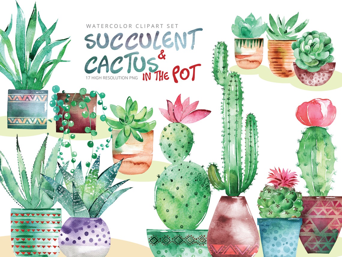 Succulent Cactus With Pots Clipart Set Watercolor Clip Art | Etsy